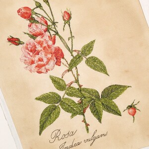 Arabian Nights Rug, Gorgeous Magic Carpet,tapestry Embroidery ...