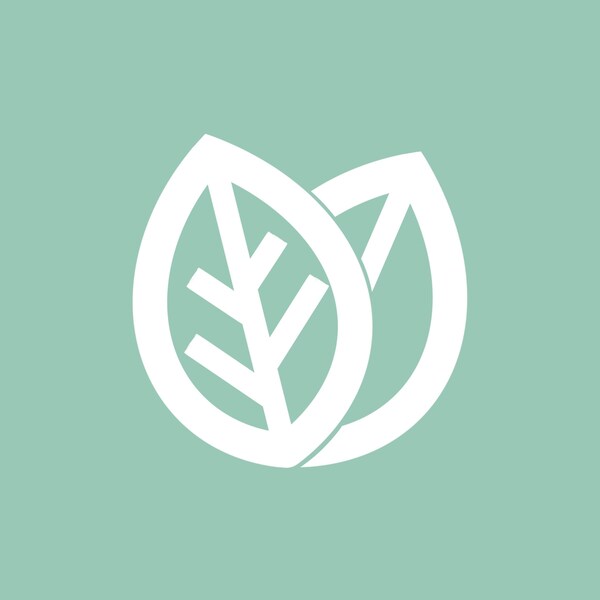 Monstera Shaped Plant Support Gold Coloured - Etsy