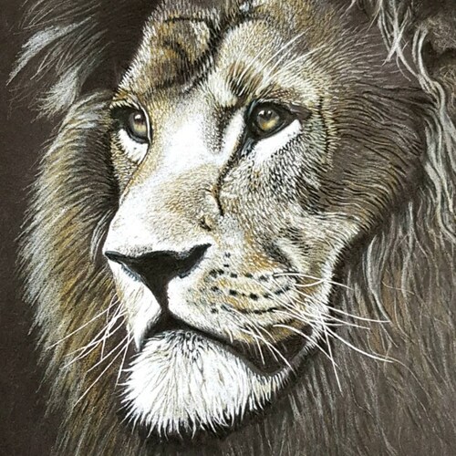 DisirArtwork - Etsy
