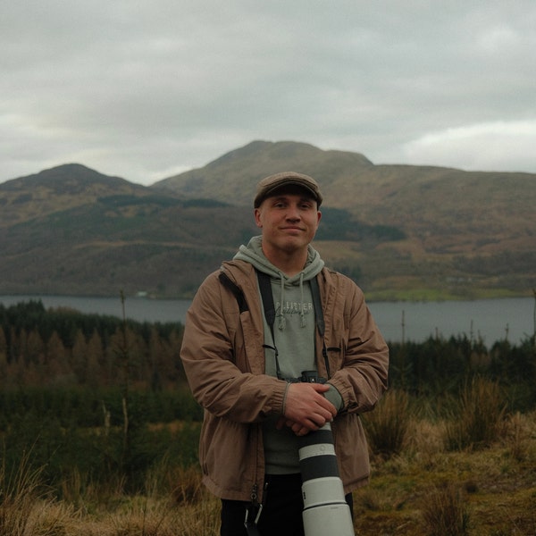 Great Grey Owl - Etsy