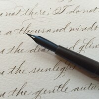 Spencerian Calligraphy Capitals Practice E-sheets Ornamental Penmanship ...