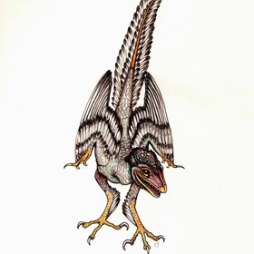 FrivolousForest - Etsy