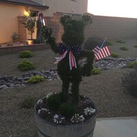 Butterfly Topiary Frames - Etsy Canada