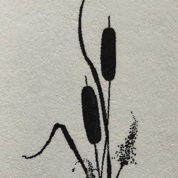 Rosebud Sage, Salvia Involucrata Live Plant - Etsy