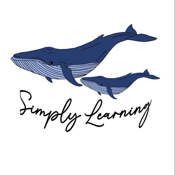 Life Cycle of a Pine Tree Evergreen Coniferous Montessori Science ...