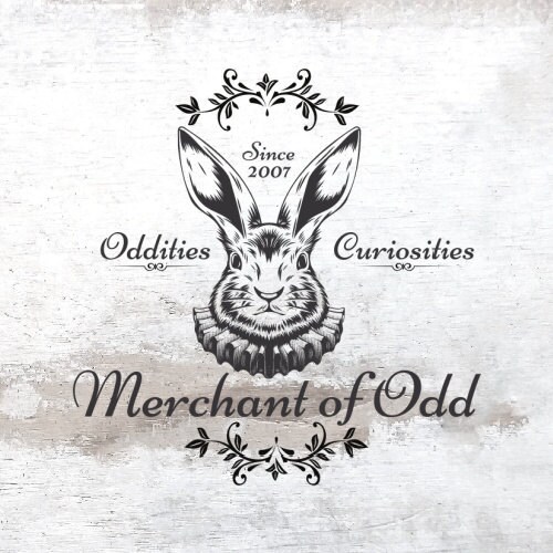 MerchantofOdd - Etsy