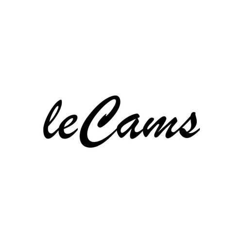 LeCamsShop - Etsy