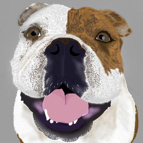 BusterDesignCo - Etsy