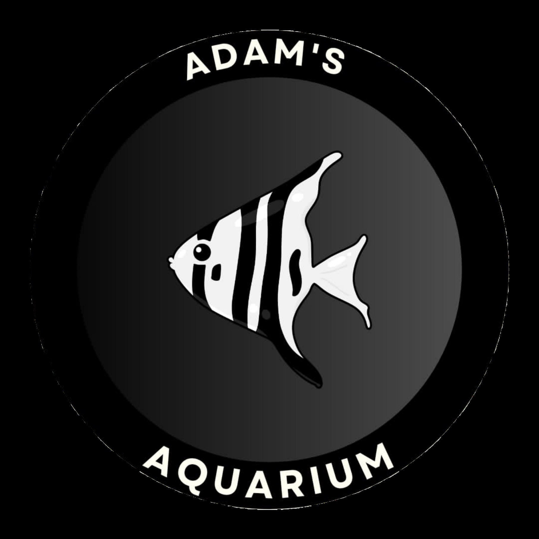 AdamAquarium - Etsy UK