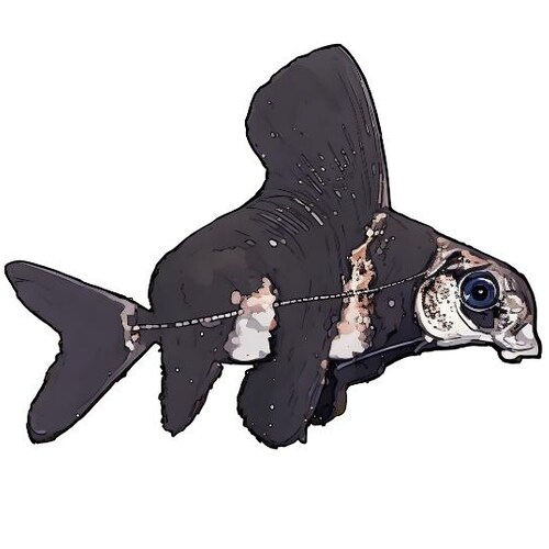 SamsFishStudio - Etsy