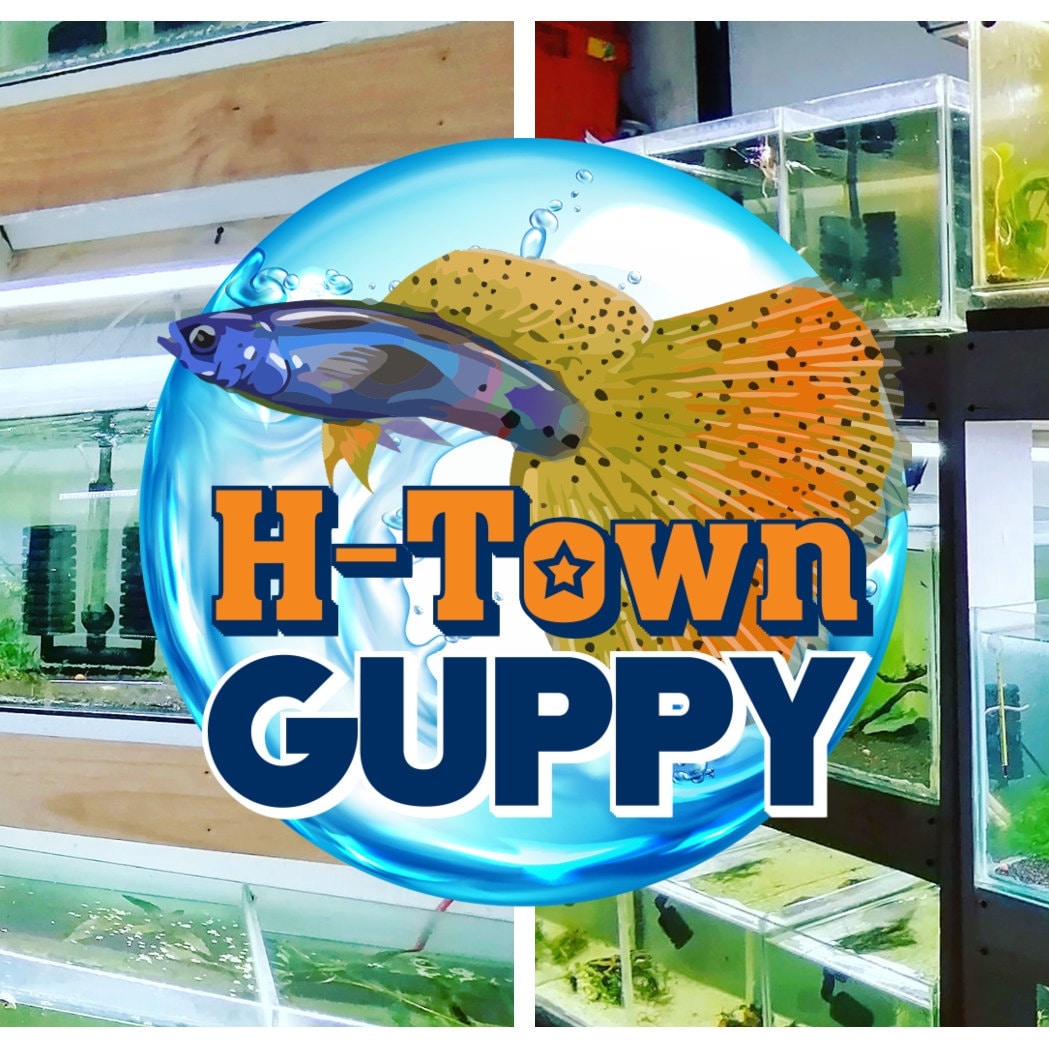 Htownguppy - Etsy