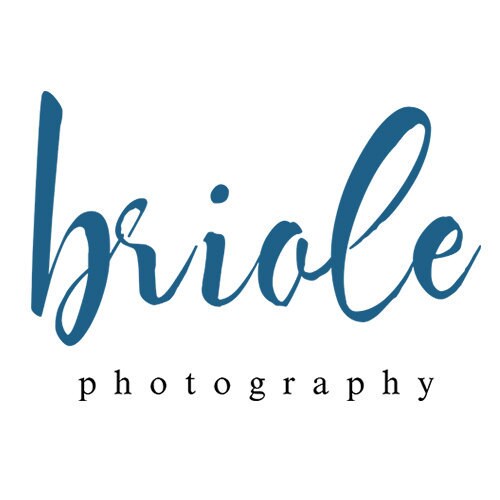 briole - Etsy