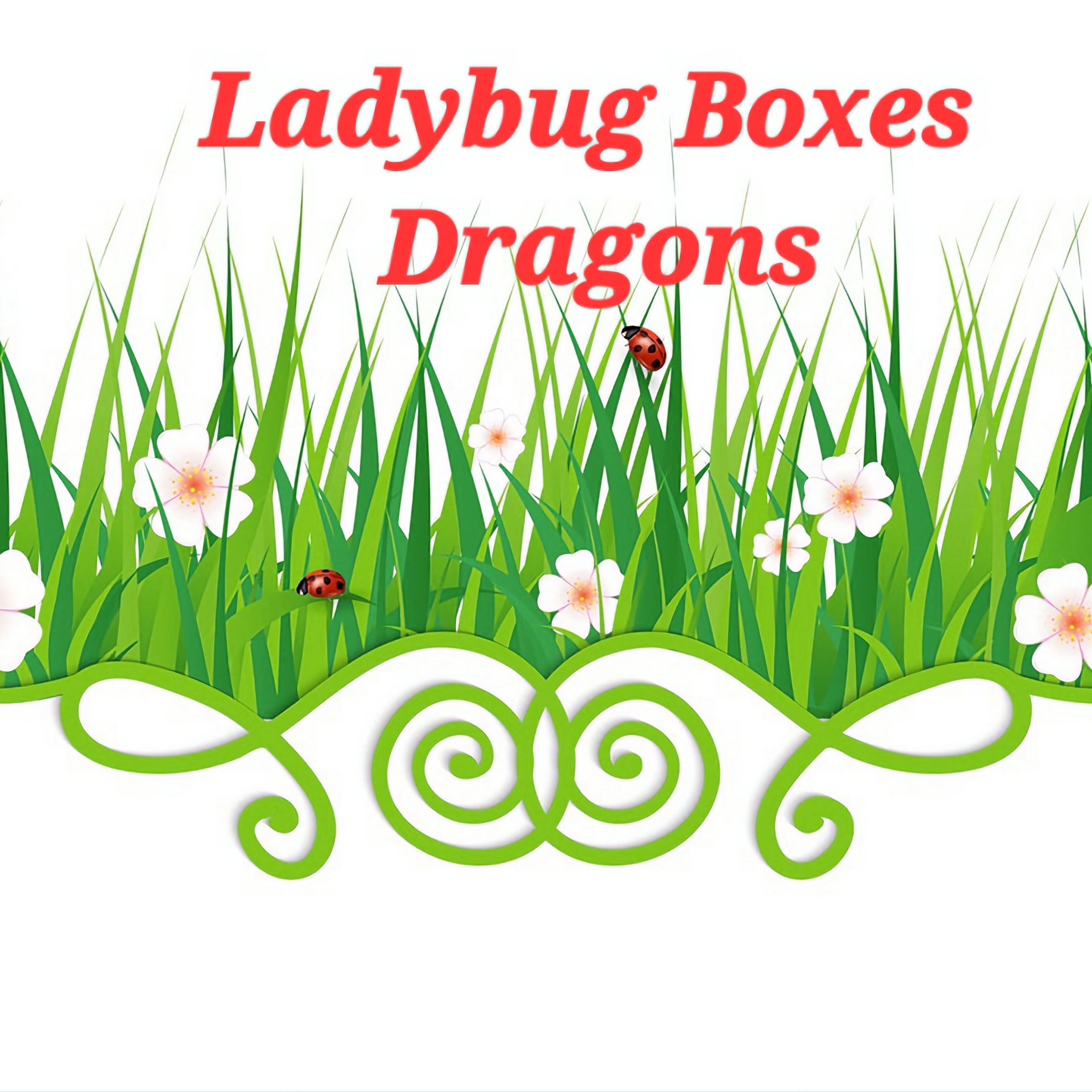 ladybugboxesdragons - Etsy