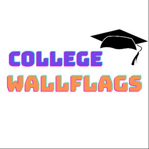 Family Guy Flag - Etsy