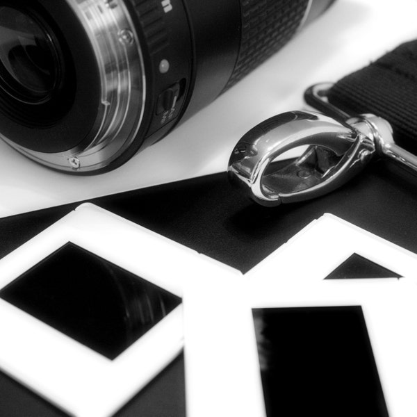 Bordered & Titled, Forsyth Park, Savannah, Georgia. Wall Art - Etsy