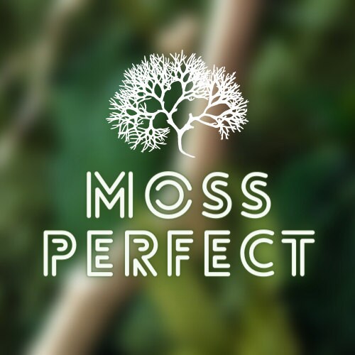 MossPerfect - Etsy