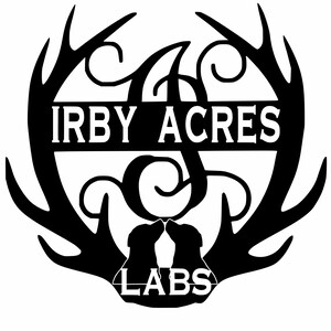 Black Lab Laundry Wall Art for Laundry Room Lab Print for Laundry Room ...