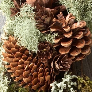 EdgewoodBotanica - Etsy