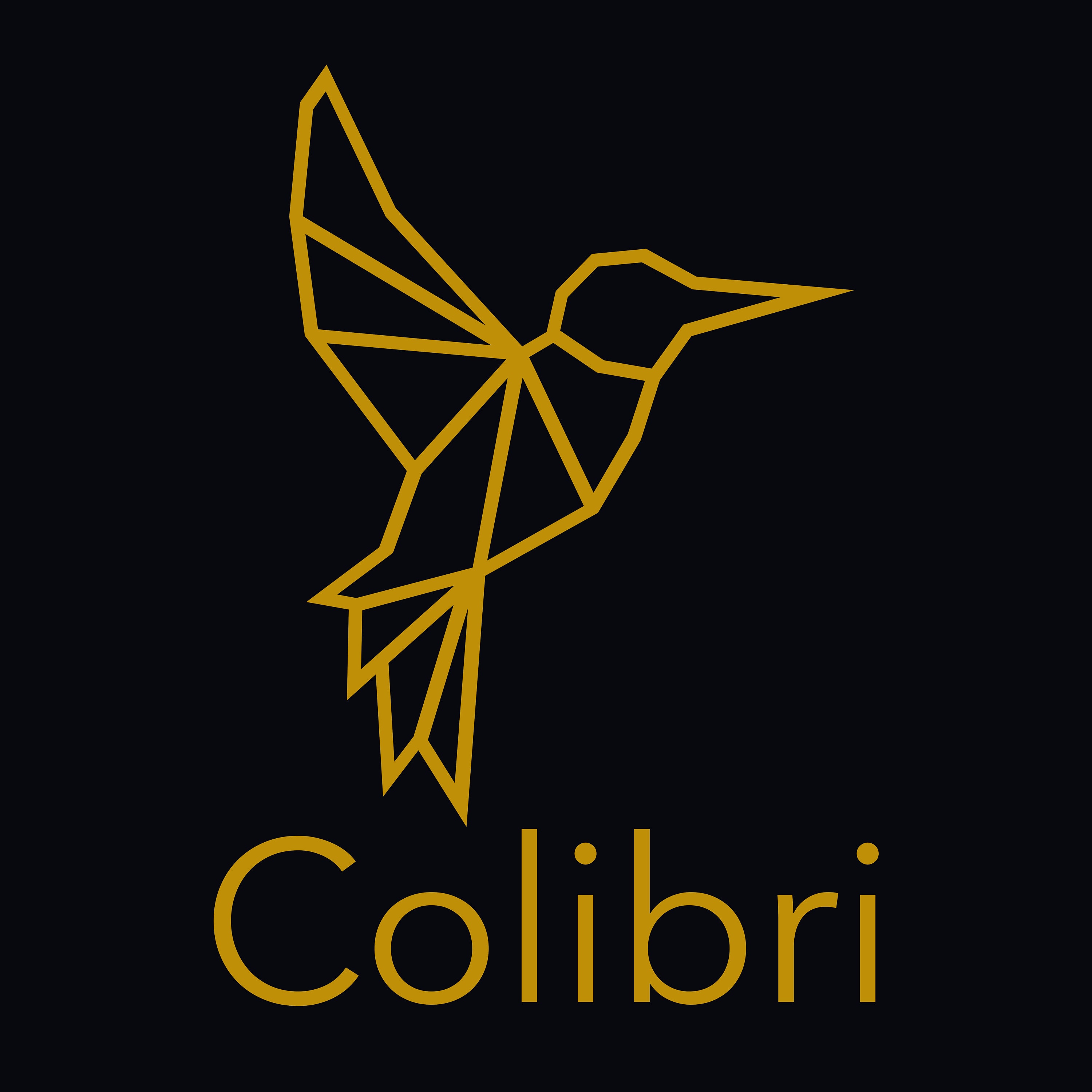 ColibriLab - Etsy