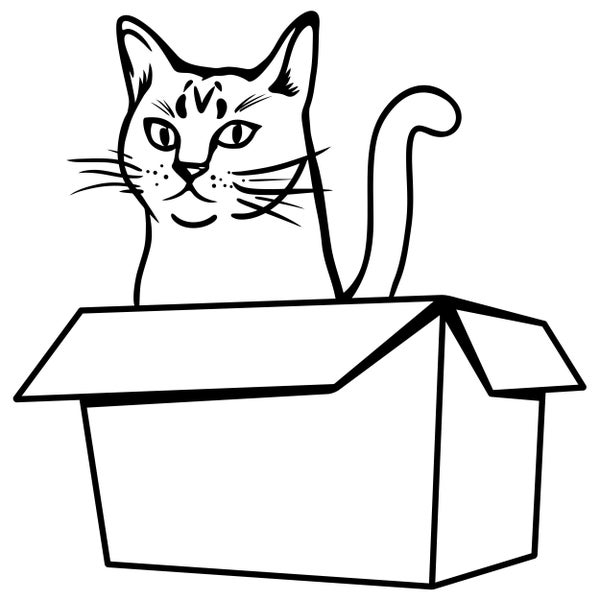 Chicken Wing Cat Toy - Etsy