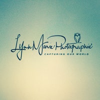 Daisy Flower - Etsy UK