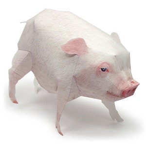 HORNED FROG / 3D Papercraft / Frog Paper Sculpture / Frog Statue / Frog ...