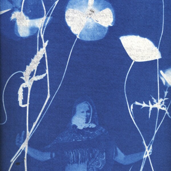 Hickory II, Wet Cyanotype on Watercolor Paper - Etsy