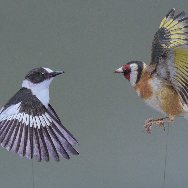 Template Papercraft Flycatcher in Flight. - Etsy