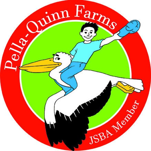 BoneHagCuriosities - Etsy