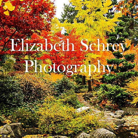 ElizabethSchreyPhoto - Etsy