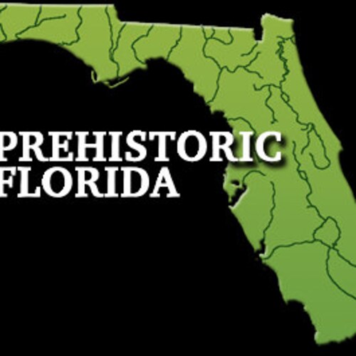 PrehistoricFlorida - Etsy