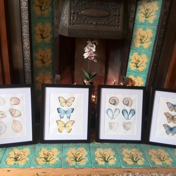 Purple Iris, Original Painting by Norma Robinson - Etsy