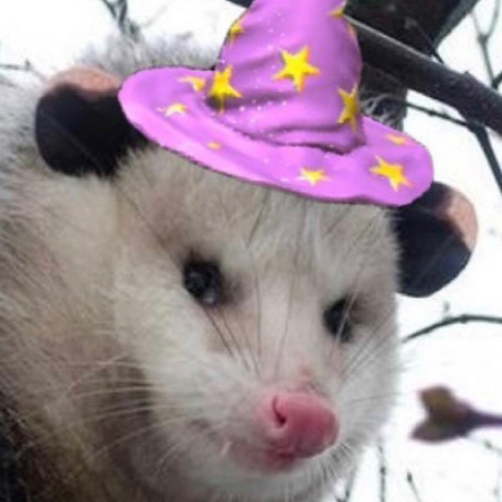 wizardpossumearrings - Etsy