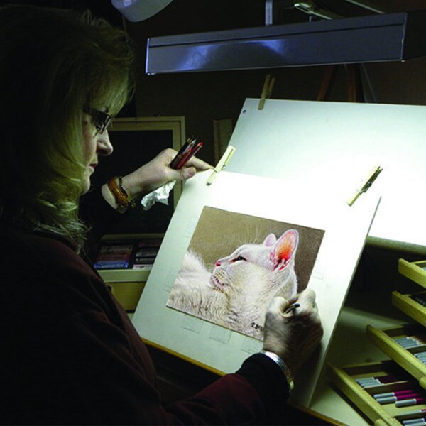 Arabian Mares Art Print the Lineup 5 X 7 Inch Giclee by Artist Roby ...