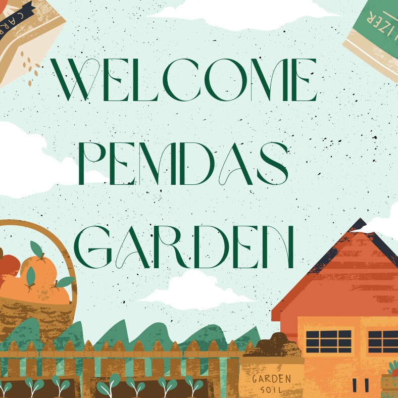 PemdasGarden - Etsy
