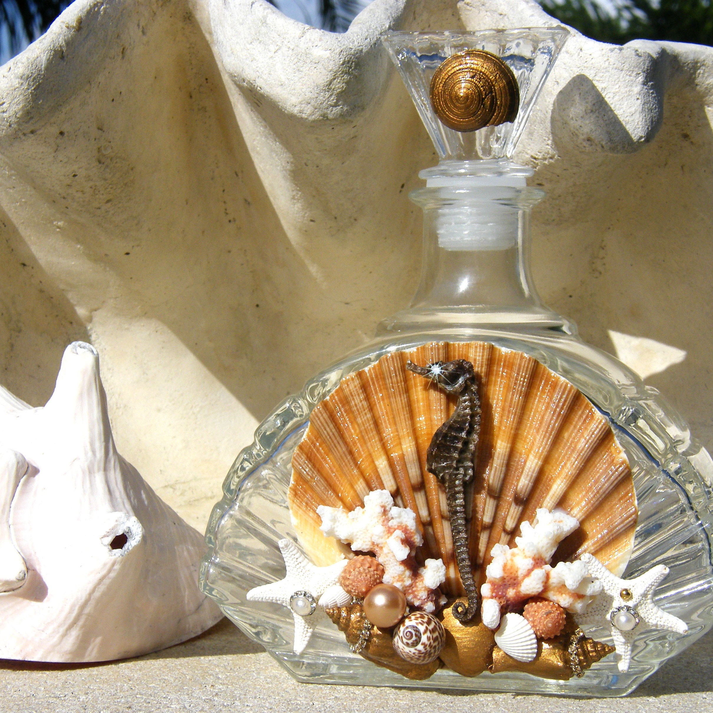 seashellgalleria - Etsy