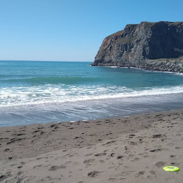 Roly Poly Armadillo Watercolor Greeting Cards Pack of 10 With Envelopes ...