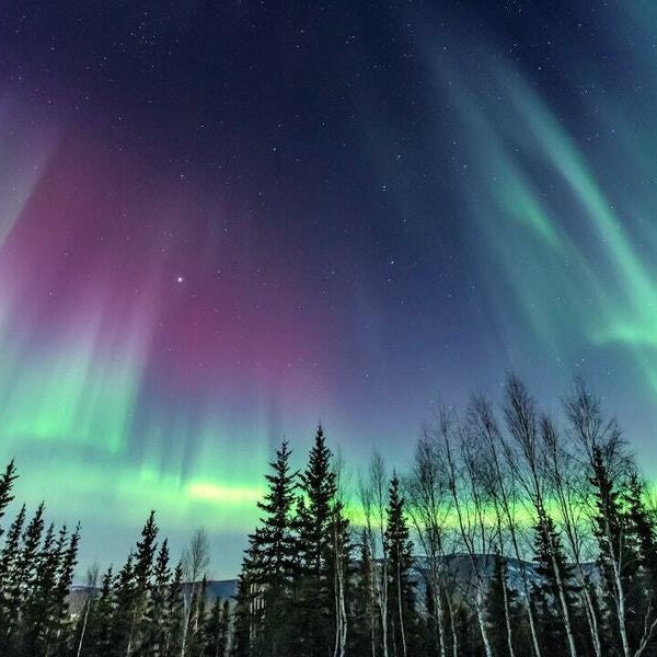 Antique Skeleton Keys Prison Jail Jailer Guard Key Ring Holder key to ...