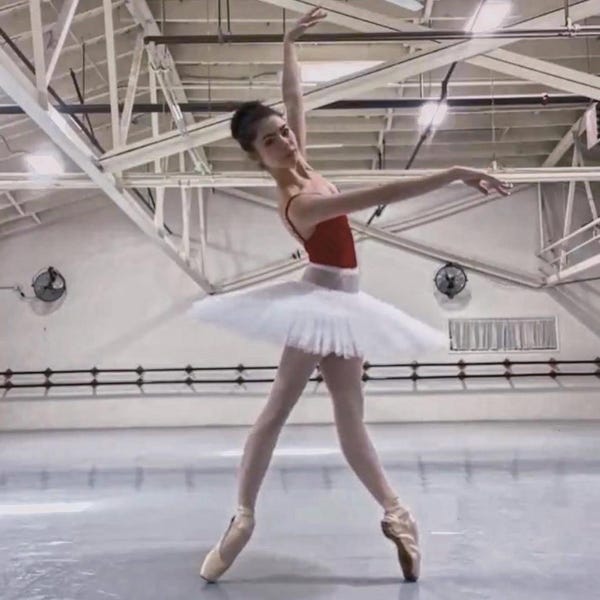 White Swan Ballet Tote, Ballerina Balletcore Swan Lake Cotton Canvas ...