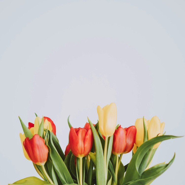 haileypaintsnature - Etsy