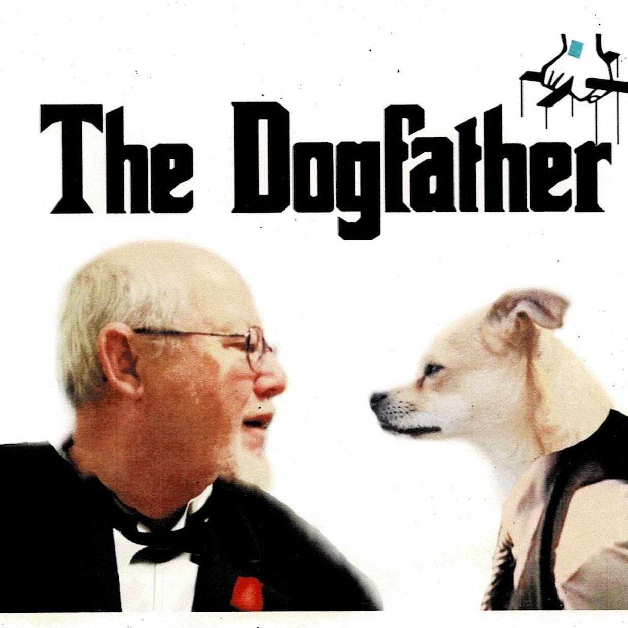 Large Vietnam War SNOOPY SEA DOGS Hai Cau Heavy Boat River Runners ...