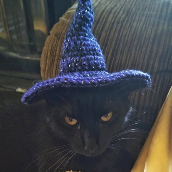 Cat Witch Hat, Cat Wizard Hat, Hats for Cats, Halloween Costume for ...