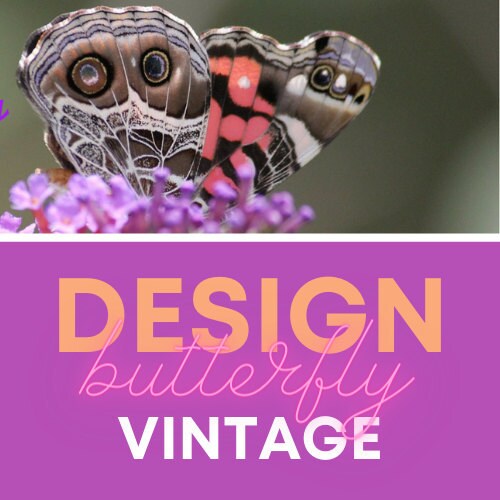 DesignButterflyVNTG - Etsy