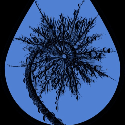 Moondropdewdesign - Etsy