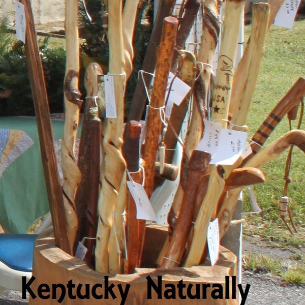 Twisted Maple Wood Walking Stick, Hiking Stick, Trekking Pole ...