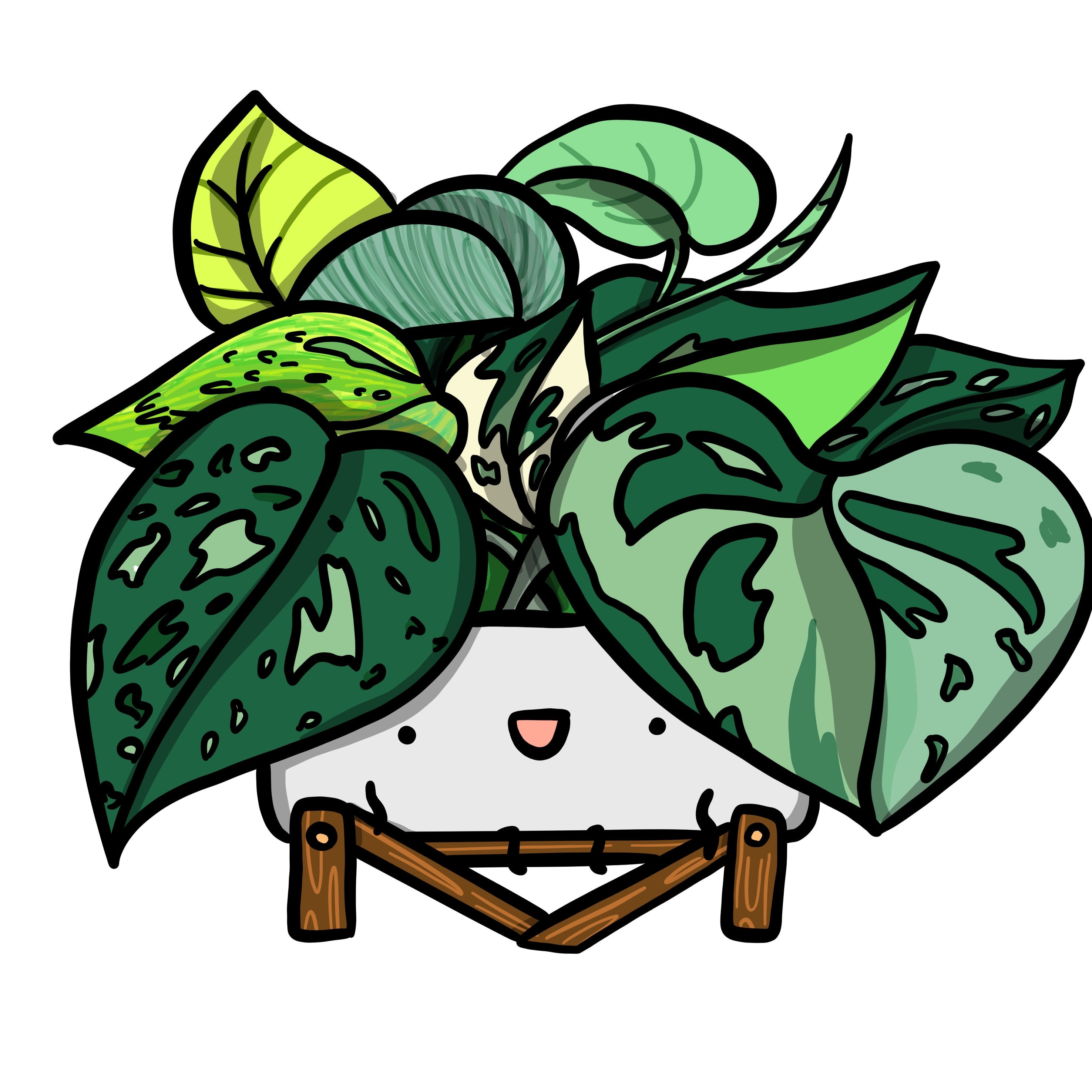Epipremnum Philodendron & Scindapsus Varieties Care and Propagation The ...