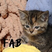 Build Your Own Rag Rug Twining Loom - Downloadable Plans - Etsy Canada