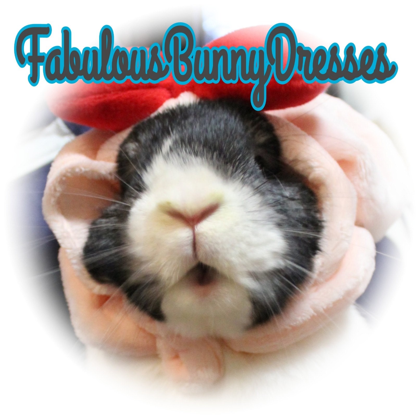 Handmade clothes for rabbits by FabulousBunnyDresses on Etsy