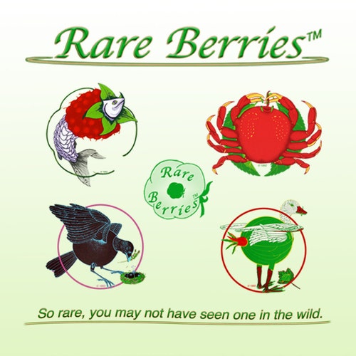 RareBerries - Etsy