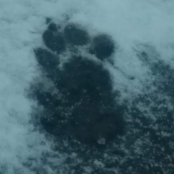 Math Adventure: Basics of Addition and Subtraction for Preschoolers addition and Subtraction ...